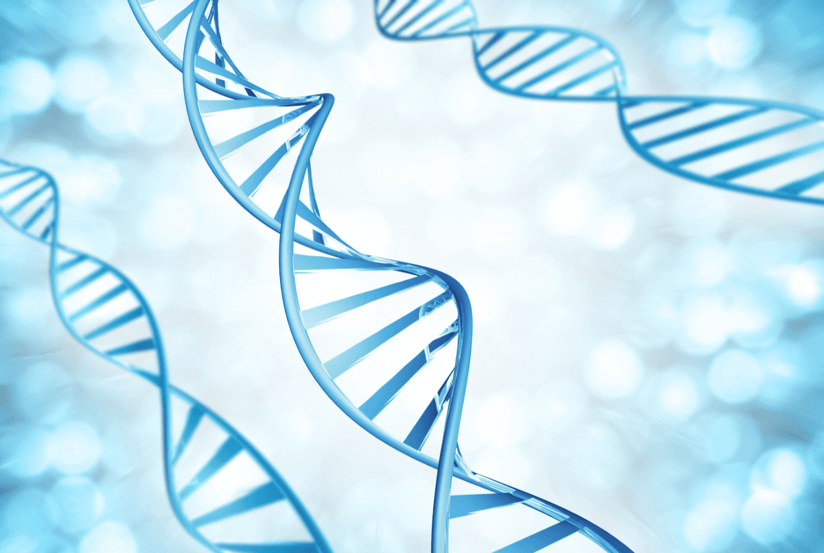 Genetics and MS Dr Vicki Maltby | MS Plus