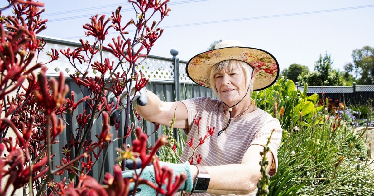 Multiple sclerosis & neuro wellbeing and connection | MS Plus